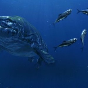 Mega Beasts - Rotten Tomatoes