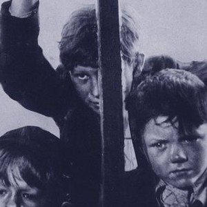 Tinker - Rotten Tomatoes