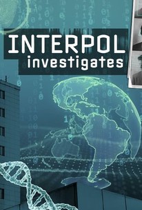 Interpol Investigates: Season 1 | Rotten Tomatoes