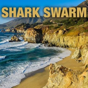 Shark Swarm - Rotten Tomatoes