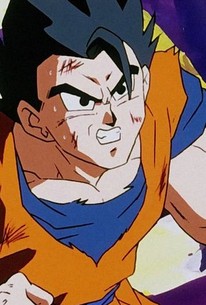 Dragon Ball Z: Season 9, Episode 266 | Rotten Tomatoes