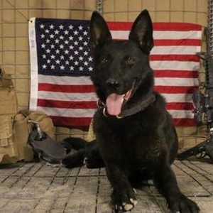 Glory Hounds: Season 1, Episode 1 - Rotten Tomatoes