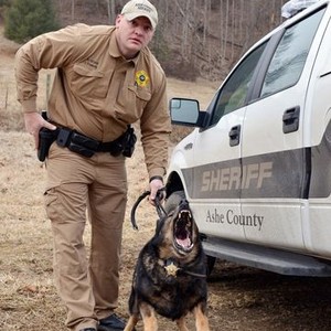 Southern Justice - Rotten Tomatoes