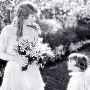 Zander the Great - Rotten Tomatoes