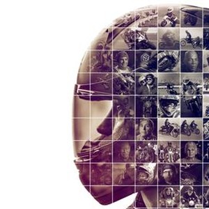 Why We Ride - Rotten Tomatoes