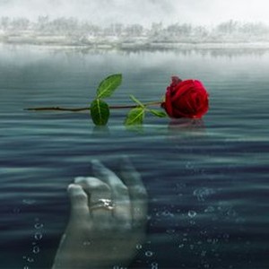 A Rose for Her Grave: The Randy Roth Story - Rotten Tomatoes