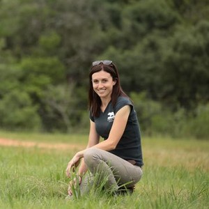 Work on the Wild Side - Rotten Tomatoes