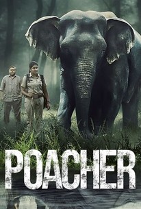 Poacher: Season 1 | Rotten Tomatoes