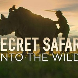 Secret Safari: Into the Wild - Rotten Tomatoes