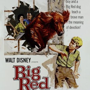 Big Red - Rotten Tomatoes