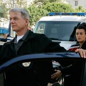 NCIS: Season 5, Episode 5 - Rotten Tomatoes