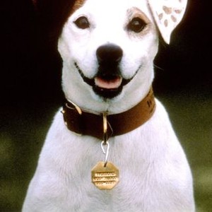Wishbone: Season 1, Episode 19 - Rotten Tomatoes