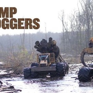 Swamp Loggers: Season 3, Episode 13 - Rotten Tomatoes
