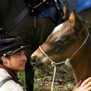 The Colt - Rotten Tomatoes