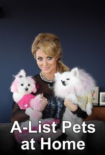 A-List Pets at Home | Rotten Tomatoes