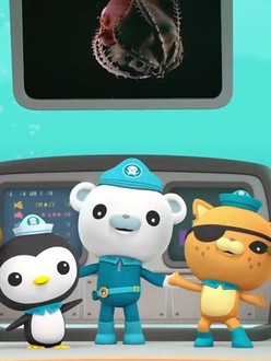 octonauts coloring pages albino humpback whale