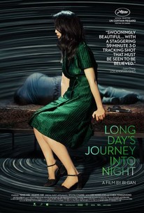 Long Day's Journey Into Night | Rotten Tomatoes
