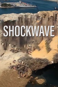 Shock Wave (2020) | Rotten Tomatoes