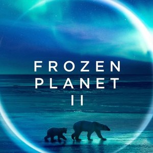 Planet Earth: Frozen Planet II - Rotten Tomatoes