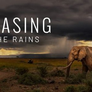 Chasing the Rains - Rotten Tomatoes