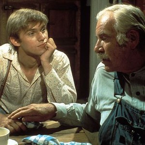 The Waltons: Season 6 - Rotten Tomatoes