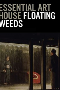 Floating Weeds | Rotten Tomatoes