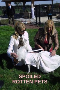 Spoiled Rotten Pets: Season 1 | Rotten Tomatoes