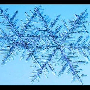 Secret of Water - Rotten Tomatoes