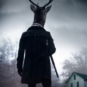 Anonymous Animals - Rotten Tomatoes