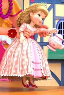 Fancy Nancy: Season 2, Episode 20 | Rotten Tomatoes