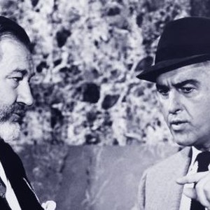 The Trygon Factor - Rotten Tomatoes