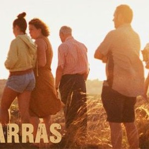 Alcarràs - Rotten Tomatoes