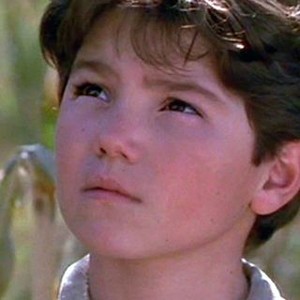 The Education of Little Tree - Rotten Tomatoes