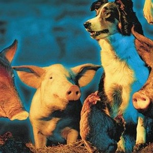 Animal Farm - Rotten Tomatoes