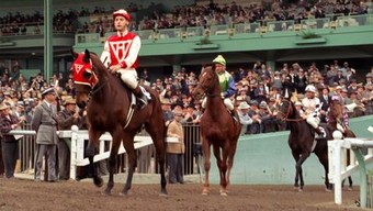 Seabiscuit - Rotten Tomatoes