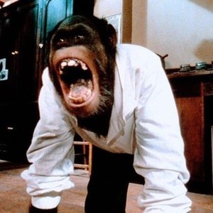 Link - Rotten Tomatoes