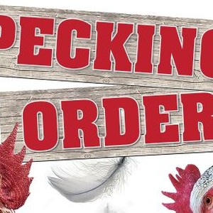 Pecking Order - Rotten Tomatoes