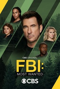 FBI: Most Wanted: Season 6 | Rotten Tomatoes