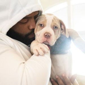 Silverback: The Trent Williams Story - Rotten Tomatoes