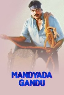 Mandyada Gandu | Rotten Tomatoes