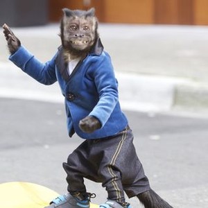 Monkey Up - Rotten Tomatoes