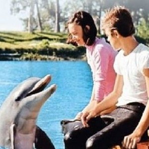 Flipper's New Adventure - Rotten Tomatoes