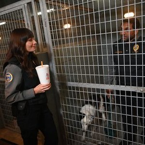 Animal Control - Rotten Tomatoes