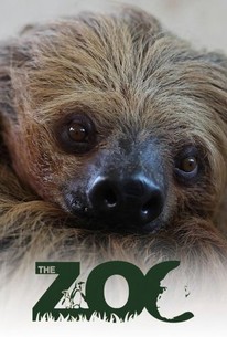 The Zoo: Season 7 | Rotten Tomatoes