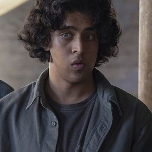 Red Rose - Rotten Tomatoes