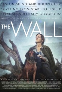 The Wall | Rotten Tomatoes