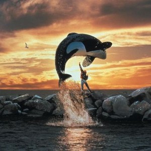 Free Willy Wallpaper