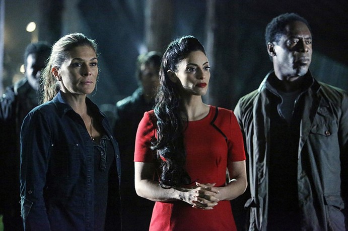 Erica Cerra Blade Trinity Lovely Lady Of The Week #26 Erica Cerra