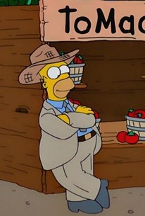 The Simpsons: Season 11, Episode 5 - Rotten Tomatoes