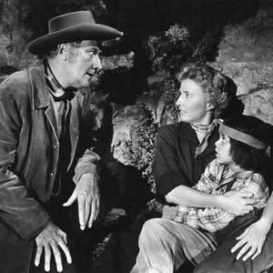 Terry Lawrence - Rotten Tomatoes